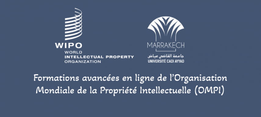 Formations avancées en ligne de l’Organisation Mondiale de la Propriété ...