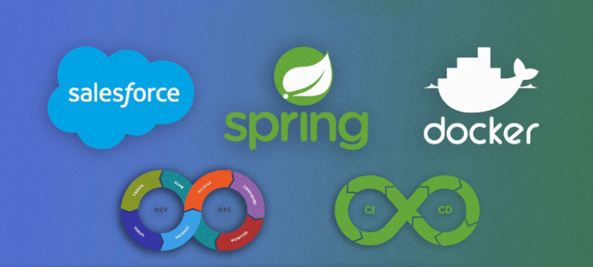FORMATION SALESFORCE/DEVOPS/SPRING/DOCKER/CI-CD